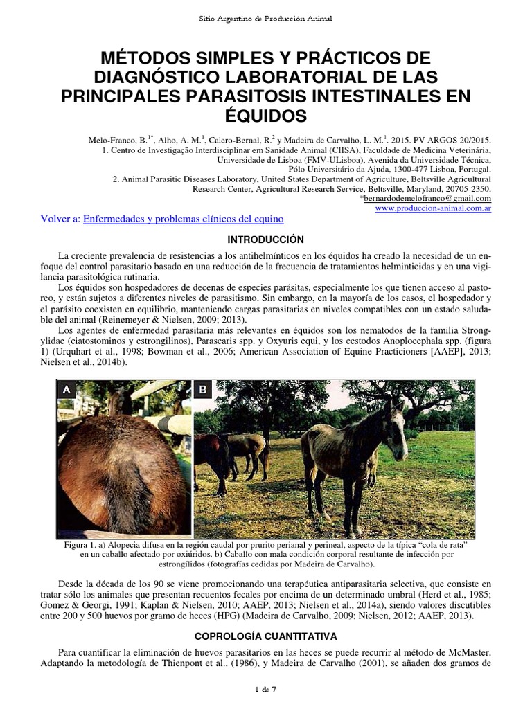 Huevo Oxyuris Equi