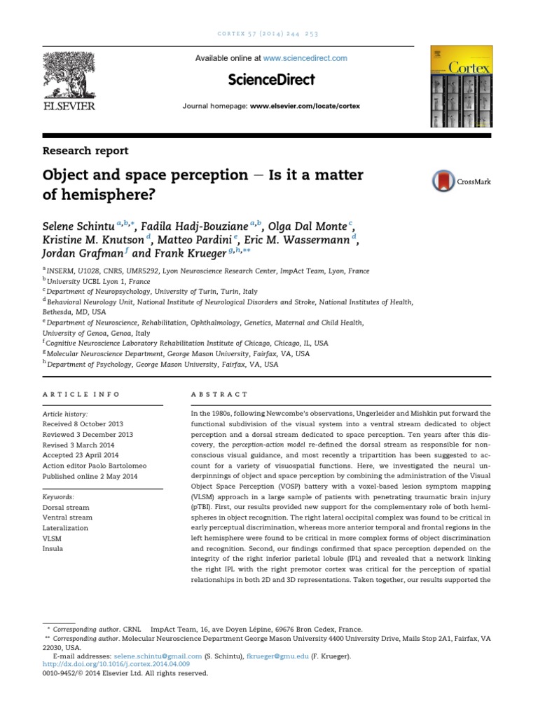 Object and Space Perception | PDF | Parietal Lobe | Lateralization Of ...
