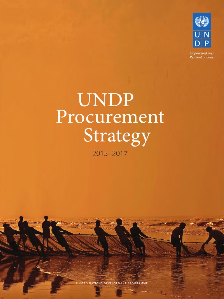 UNDP Procurement Strategy 2015-17 | Procurement | United Nations ...