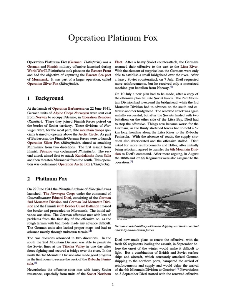 Operation Platinum Fox | PDF | Military Of Nazi Germany | Military