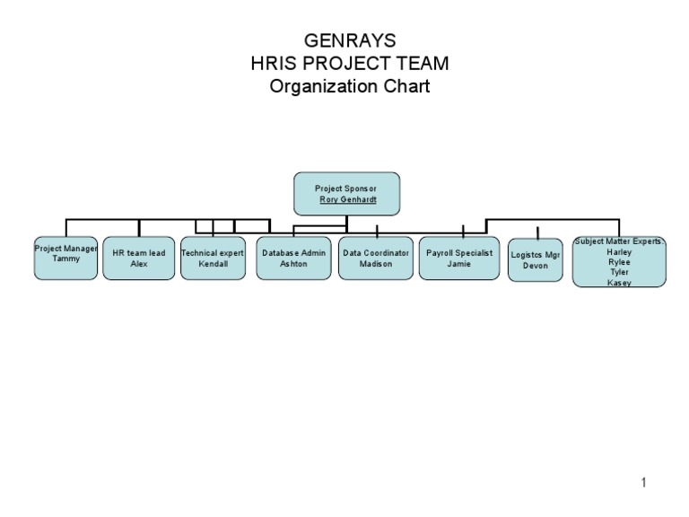 Genrays Hris Project Team Organization Chart: Project Sponsor Rory ...