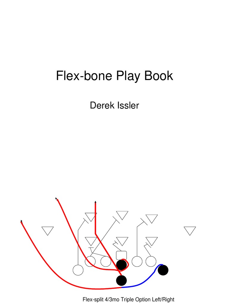 Flexbone | PDF