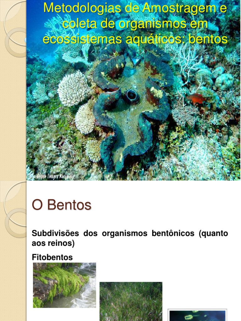 Amostragem e Coleta de Bentos Aquáticos | PDF | Corpos de água | Natureza