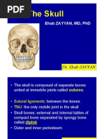 Distal Colonogram | PDF | Gastroenterology | Wellness
