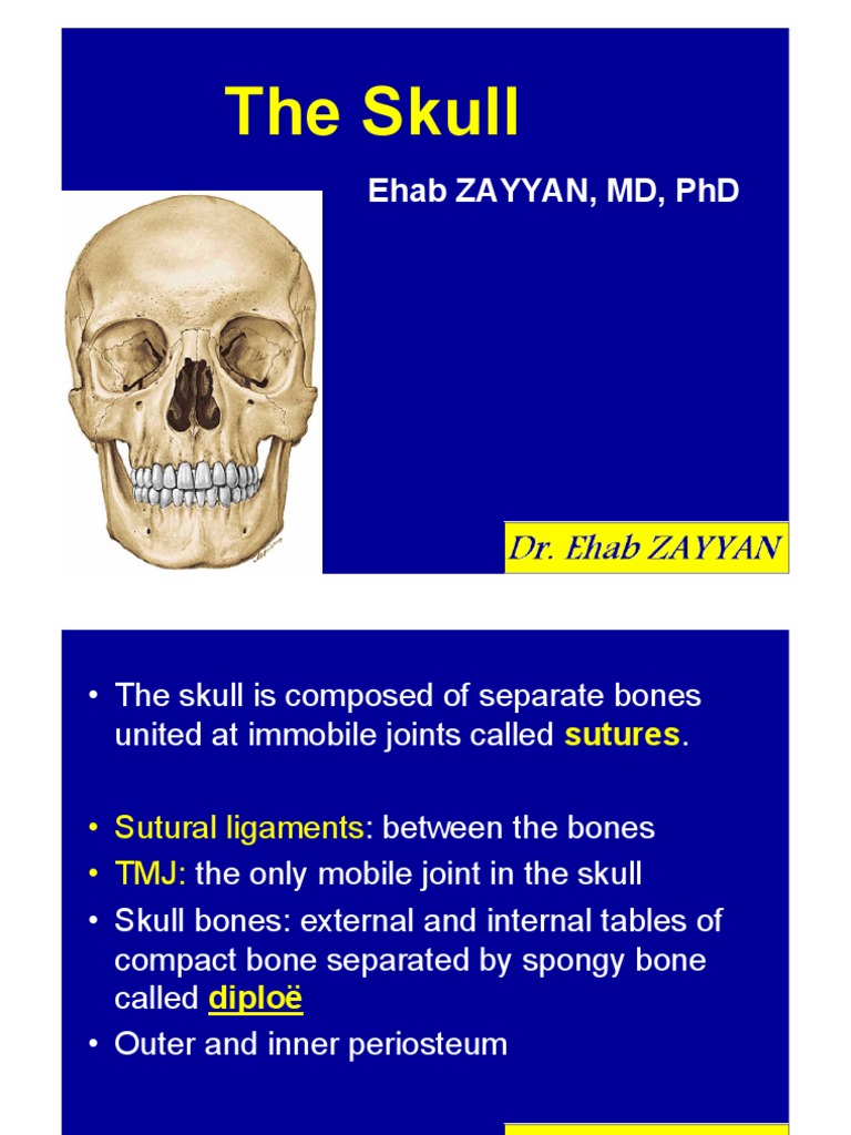 THE SKULL | Skull | Human Anatomy