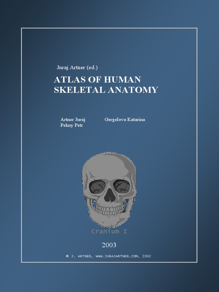 Anatomi Cranium PDF | PDF | Skull | Human Nose