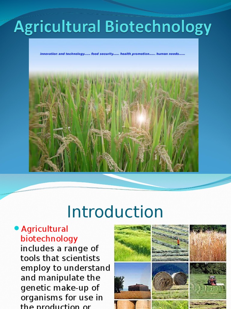 Agricultural Biotechnology PDF