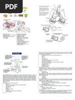 Claricort: Uses and Dosage Guide | PDF | Dermatitis | Allergy