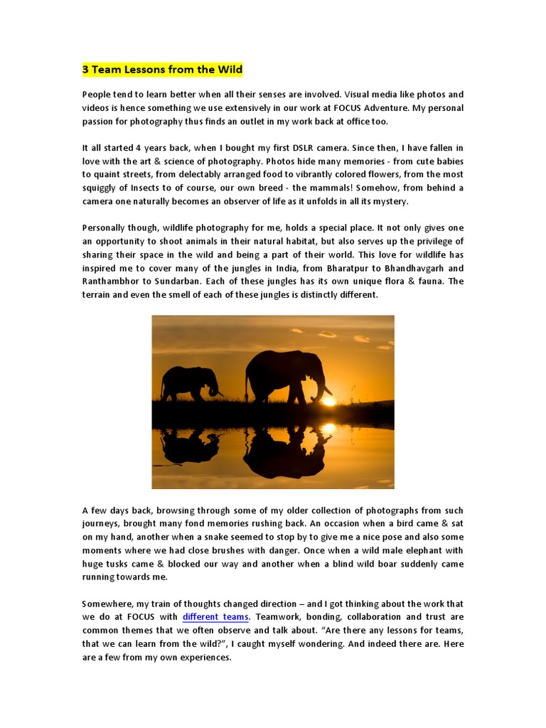 3 Team Lessons From The Wild | PDF