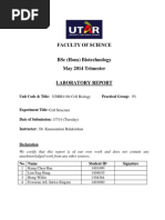 Microscope Practical Guide and Report | PDF | Experiment | Microscope