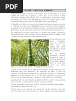 El Bambú Japonés Reflexión | PDF