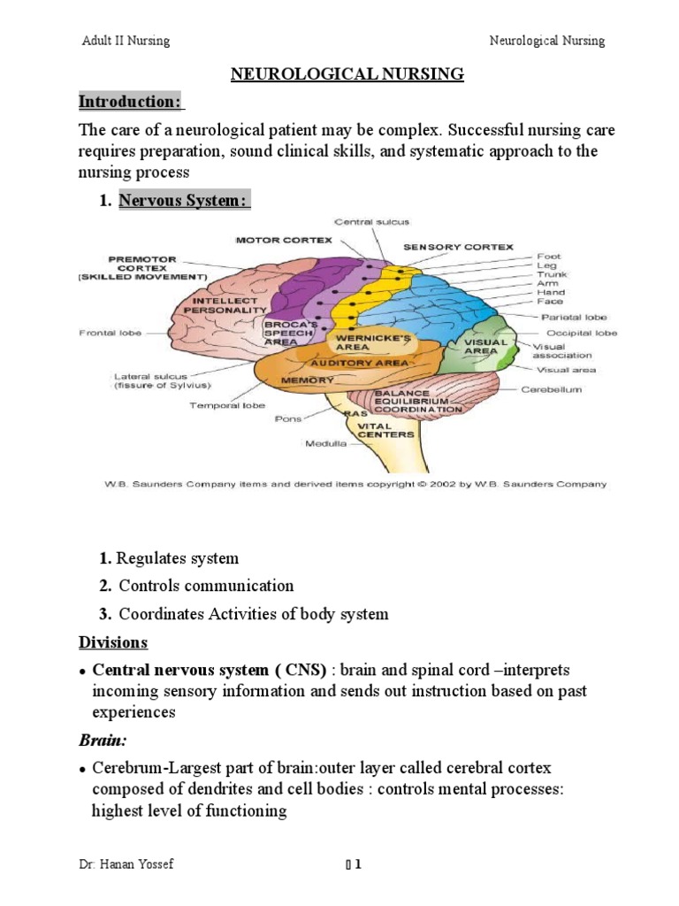 Neurological Nursing Adult2 | PDF | Central Nervous System | Nervous System