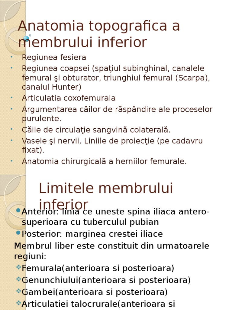 Anatomia Topografica A Membrului Inferior | PDF