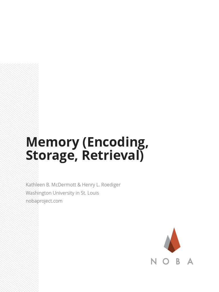 Memory Encoding Storage Retrieval Pdf Recall Memory Memory 5333