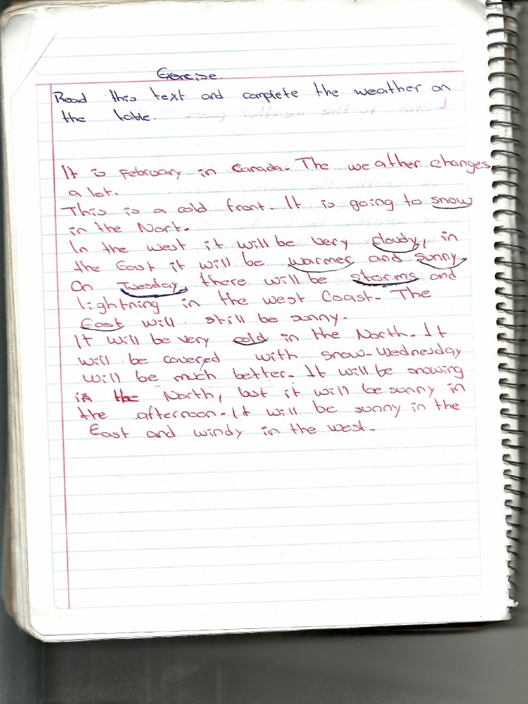 Organizador Gráfico Del Clima | PDF