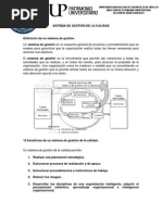 30 Vegetales Con Sus Cromosomas | PDF