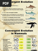 Annotated Video Script TEMPLATE Cell Cycle by Amoeba Sisters | PDF ...