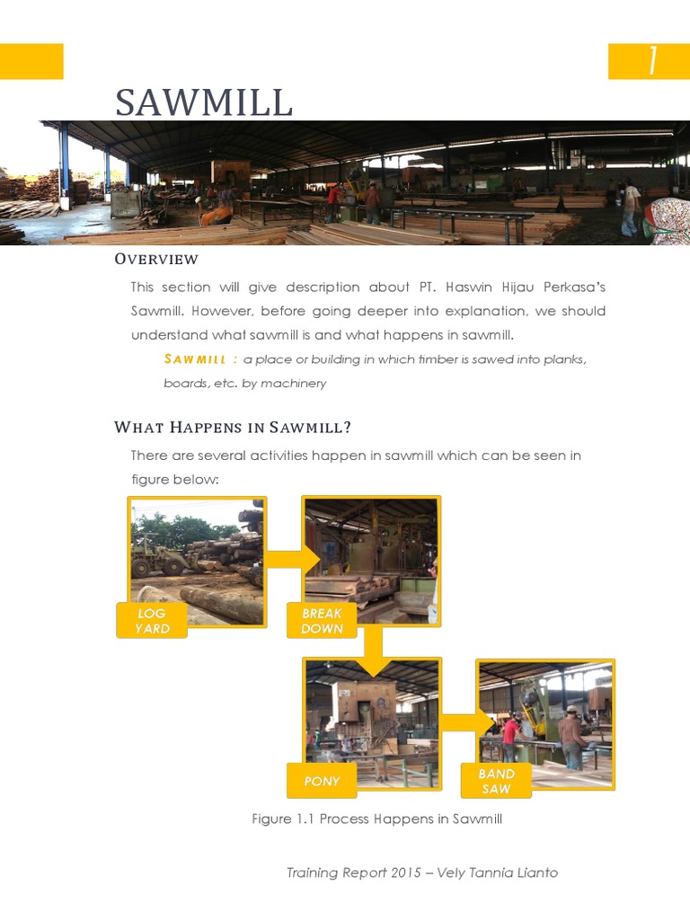 Sawmill Product Pdf Sawmill Lumber