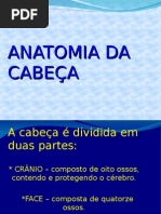 Anatomia Radiológica Dos Ossos Da Face e Cranio | PDF | Crânio | Cabeça ...