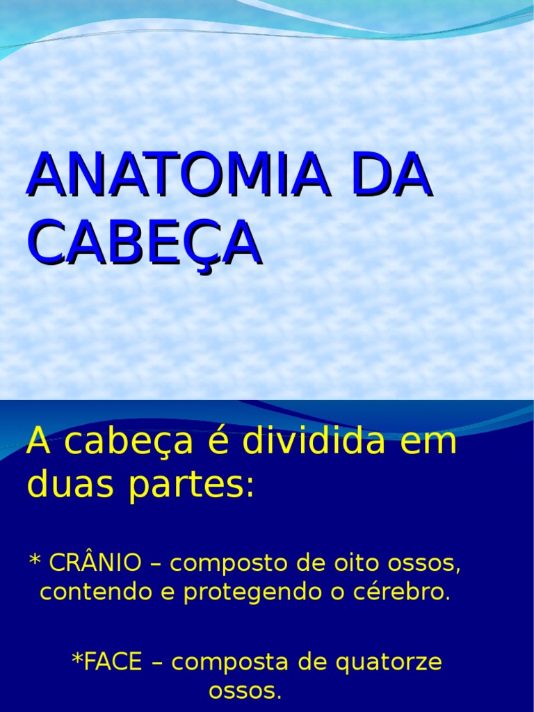 Anatomia Cabeca | PDF | Crânio | Cabeça e pescoço humano