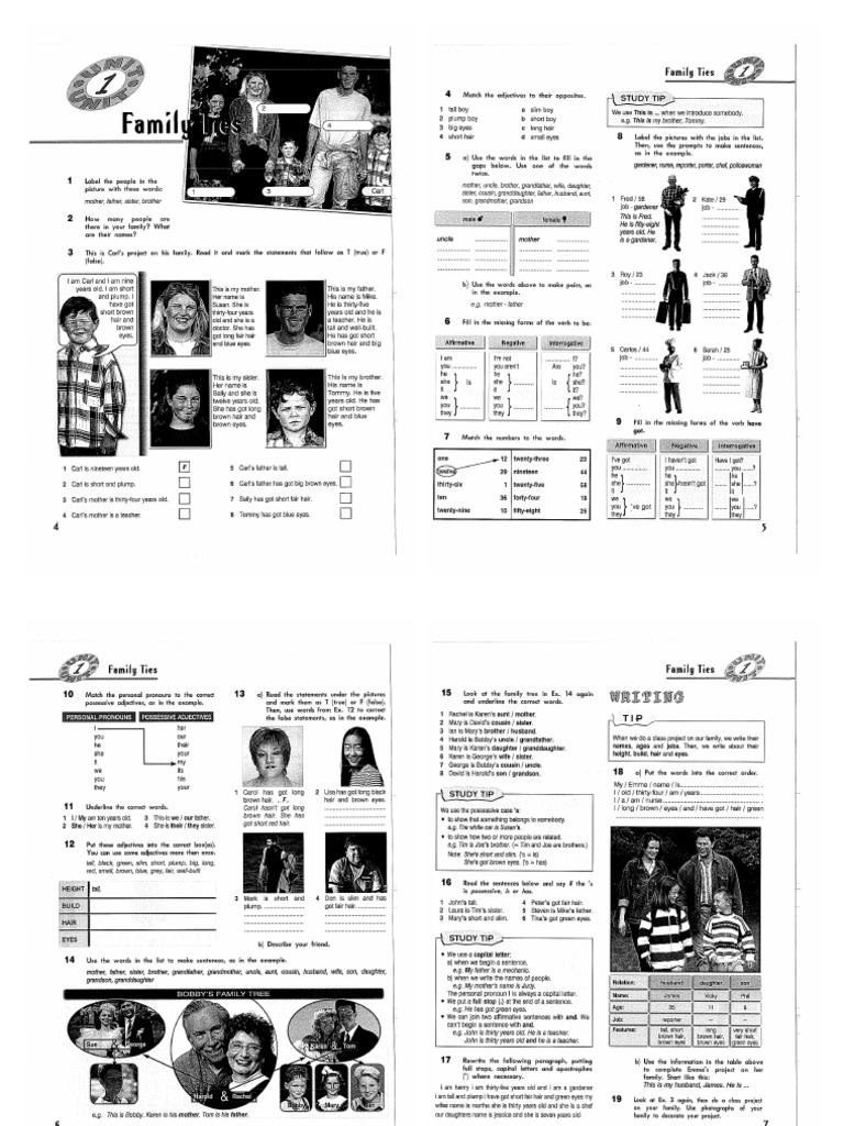 Unit 4 Family Ties (Spark1) PDF | PDF