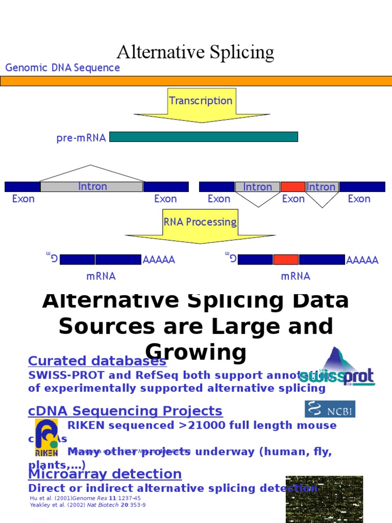 Understanding Alternative Splicing | PDF | Alternative Splicing ...