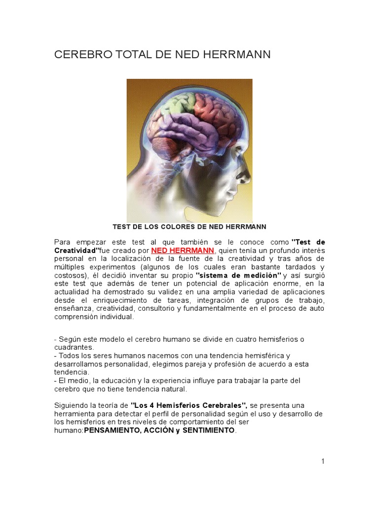 Cerebro Total de Ned Herrmann | Hemisferio cerebral | Creatividad