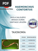 Morfología y ciclo de vida de Otobius megnini | PDF