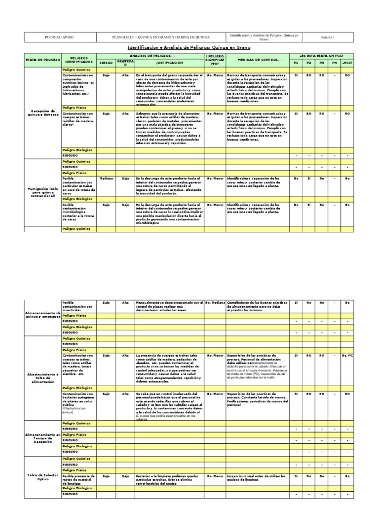 MODELO DE Análisis de Peligros Proceso.xls | Análisis de Riesgo y ...