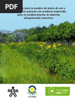 Ficha Técnica Del Pasto Marandú (Brachiaria Brizantha Cv. Marandú ...