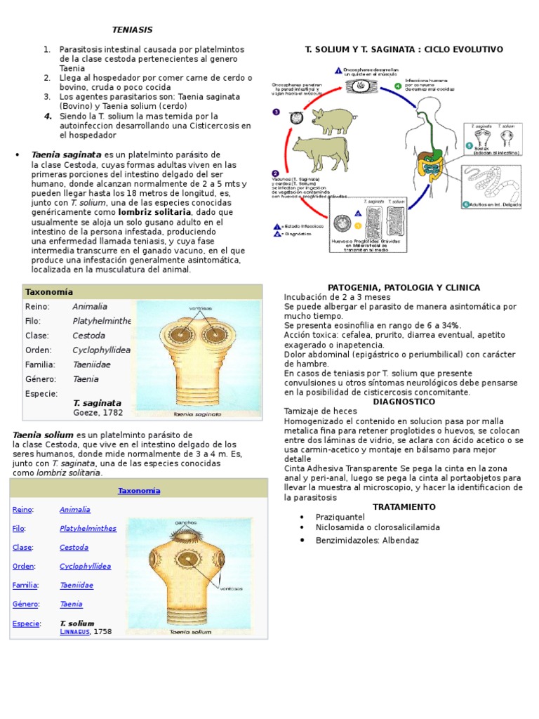 Teniasis: causas, ciclo de vida, síntomas y tratamiento de las ...