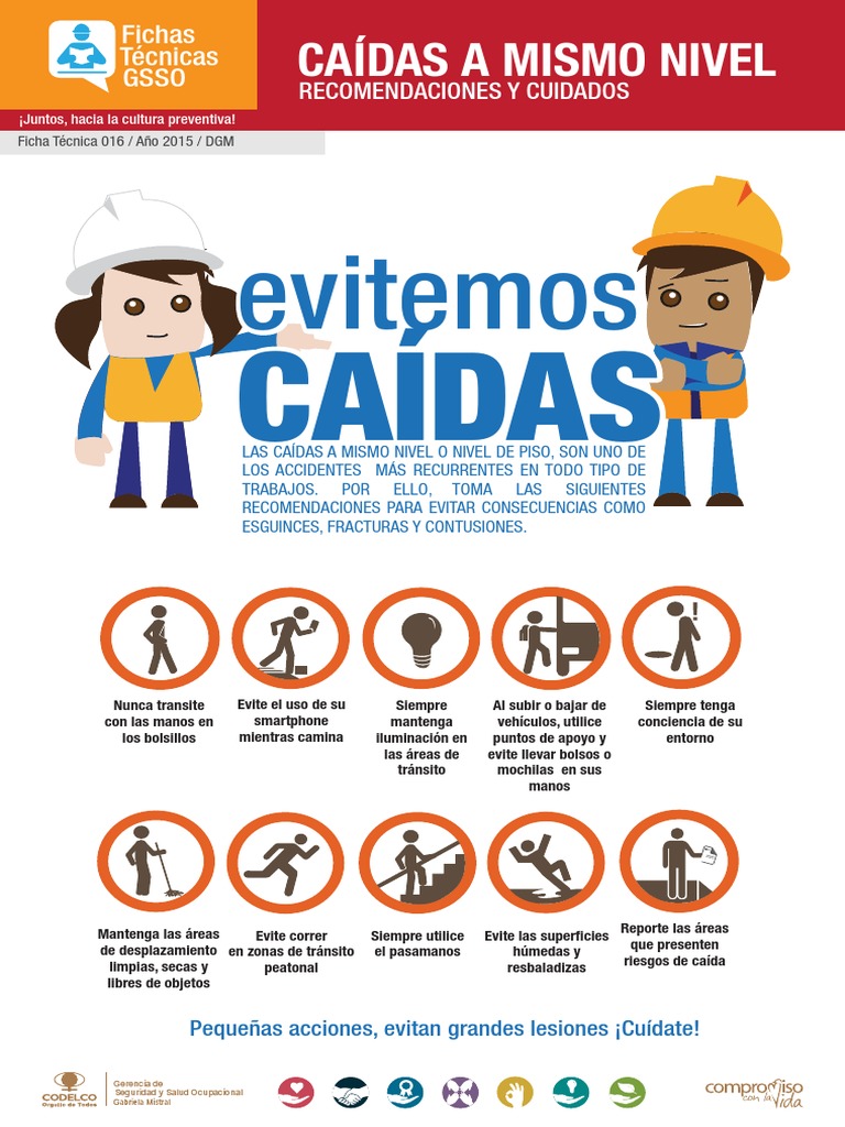 Caidas Mismo Nivel | PDF | Bienestar | Medicina