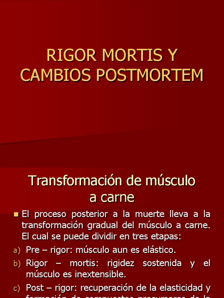 Rigor Mortis y Cambios Postmortem | PDF | Carne | Calcio