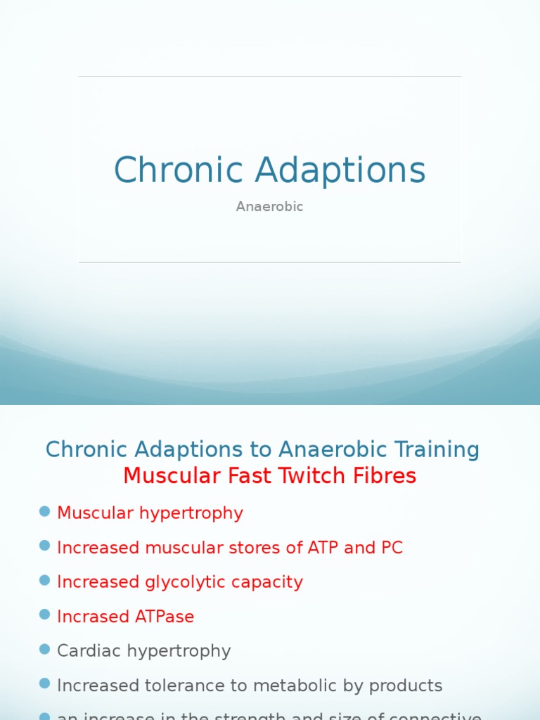 Chronic Adaptations in Anaerobic Training | PDF | Myocyte | Muscle