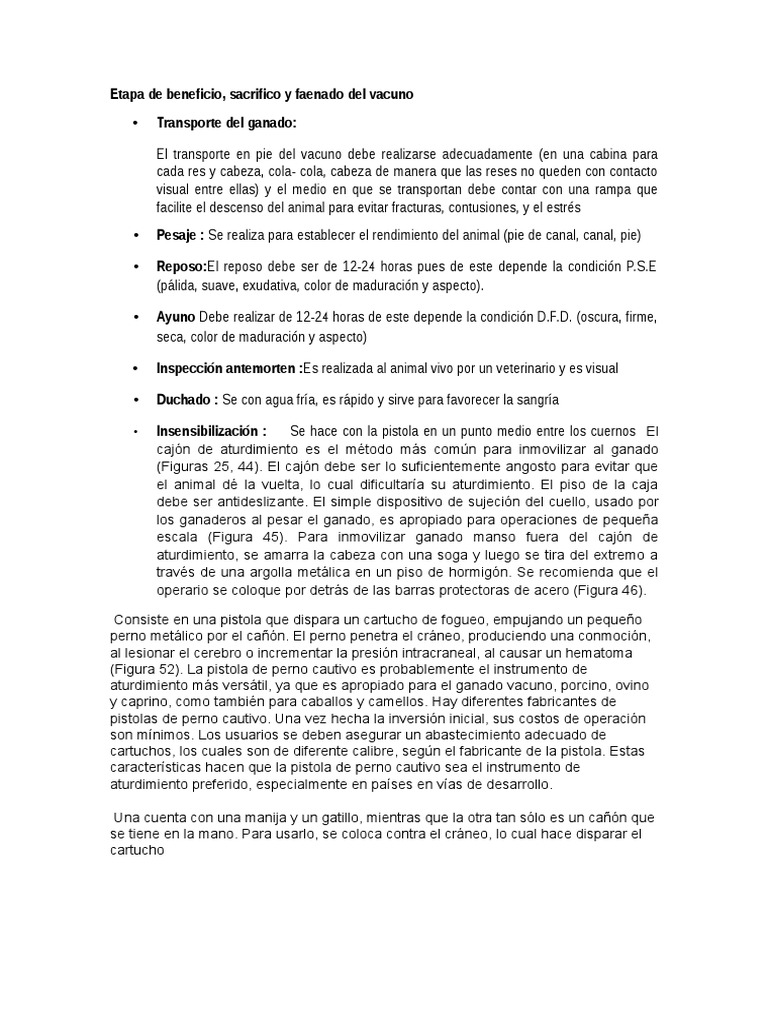 Proceso de Faenado | PDF | Carne | Pistola