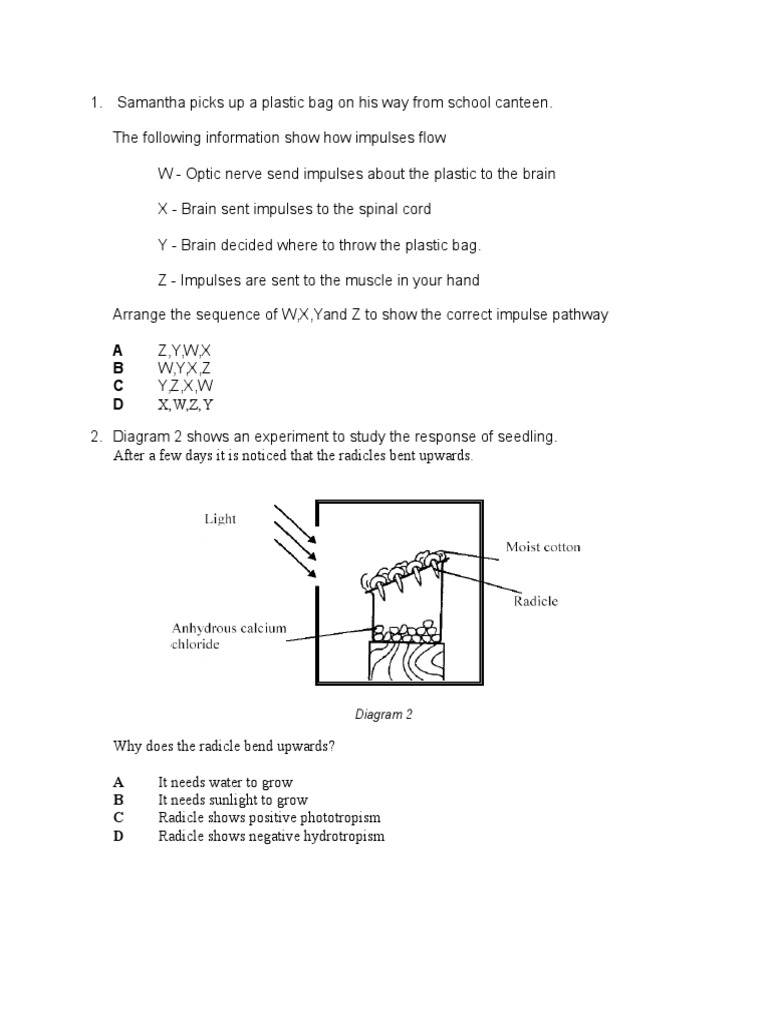 A B C D: Diagram 2 | PDF | Digestion | Plants