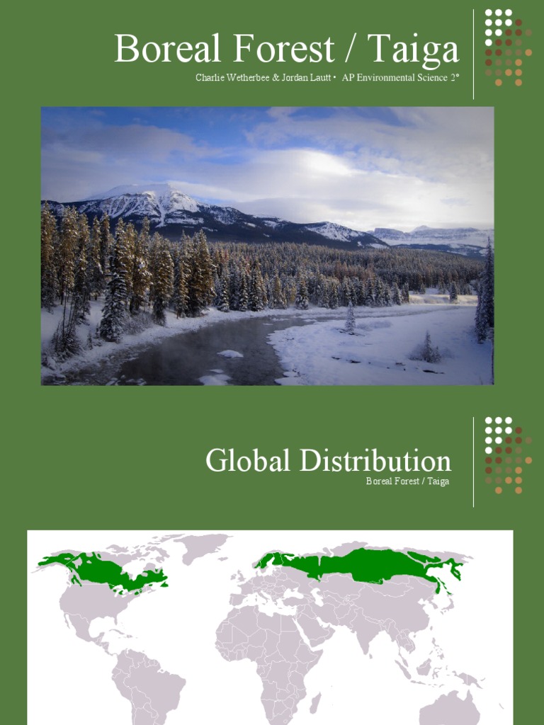 Boreal Forest/ Taiga Biome PowerPoint | Forests | Natural Environment
