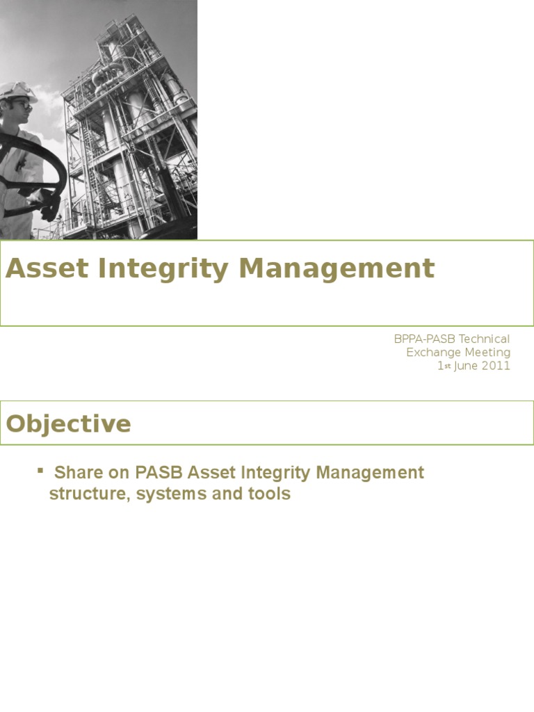 Asset Integrity Management Pdf