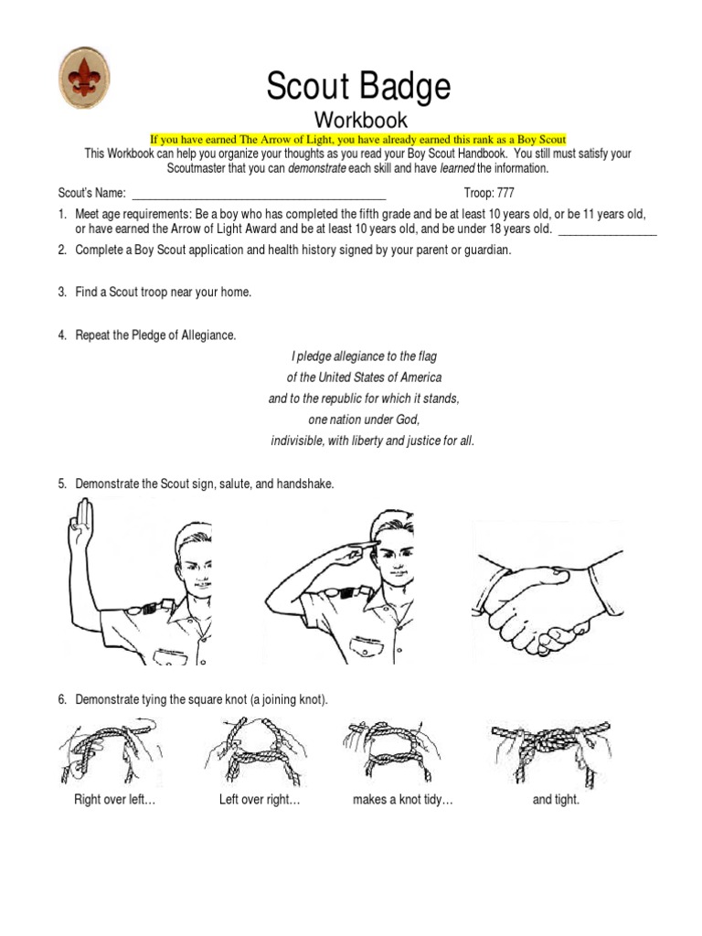Scout Badge Workbook | PDF