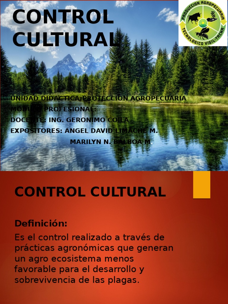 Control Cultural Diapositivas | PDF | Plaga (organismo) | Insectos
