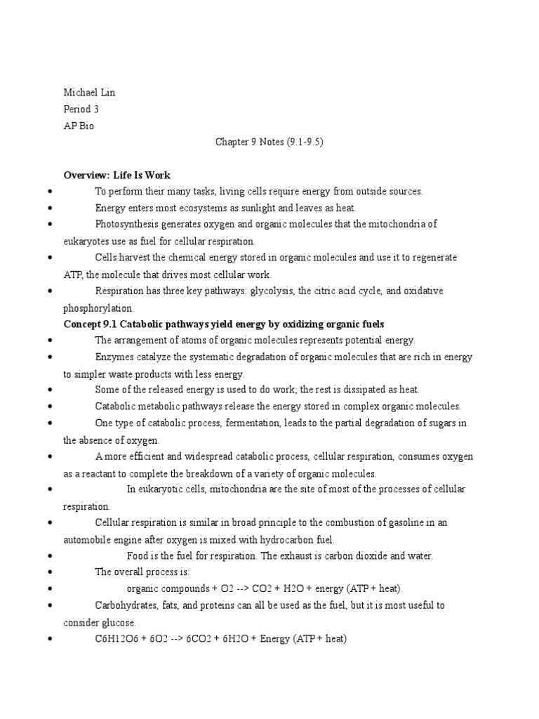 AP Bio Notes Chapter 9 | Download Free PDF | Cellular Respiration ...
