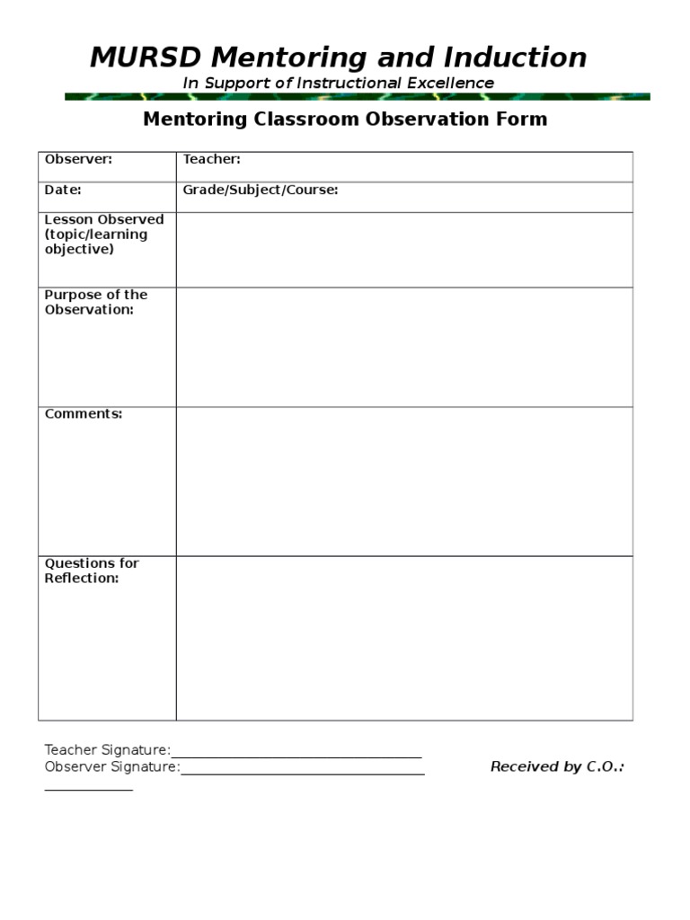 Mentor Observation Form | PDF