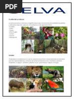 La Flora de La Costa Peruana | PDF | Arboles | Perú