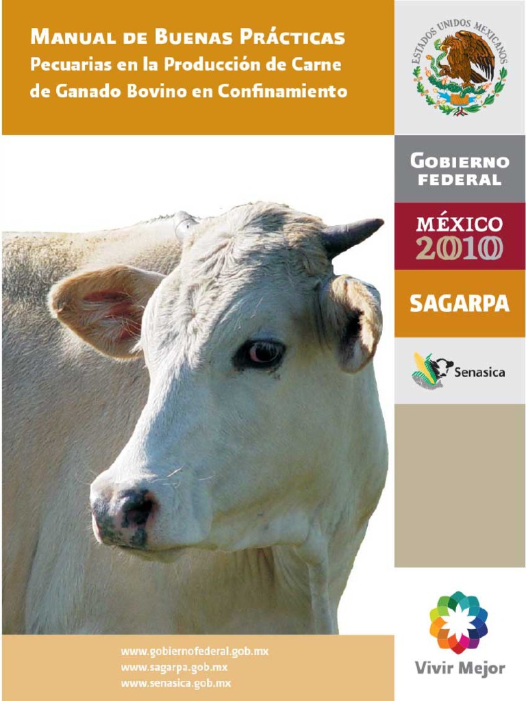 Manual de Buenas Prácticas Pecuarias en la Producción de Carne de Ganado Bovino.pdf | PDF