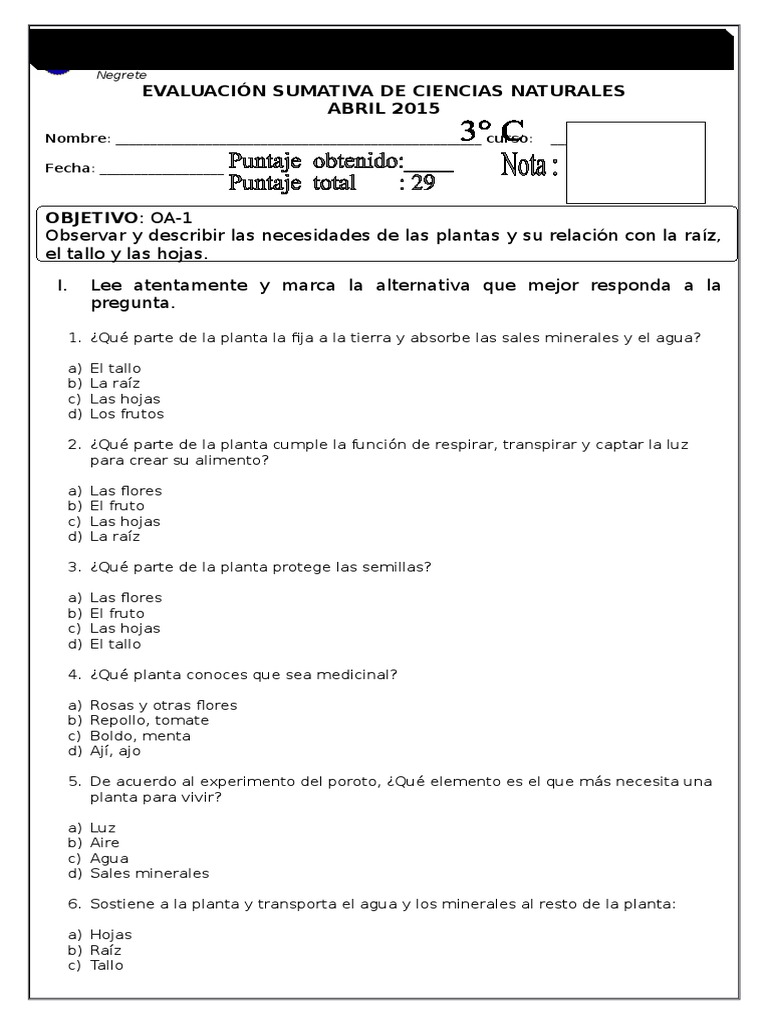 Prueba Partes de Una Planta y Sus Funciones | PDF