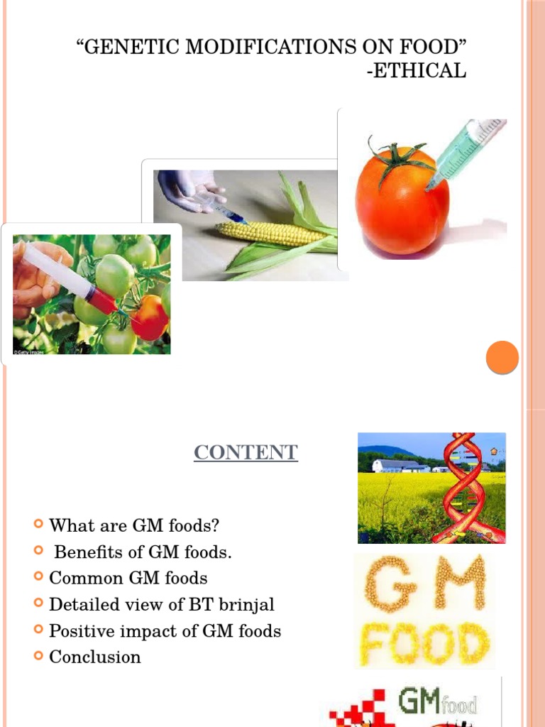 Genetic Food | PDF | Genetically Modified Food | Genetically Modified Crops
