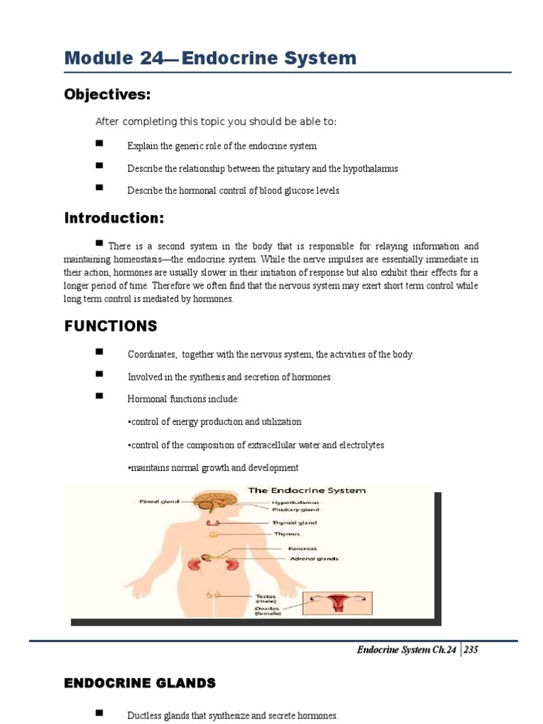 Endocrine System Module | PDF | Endocrine System | Adrenal Gland