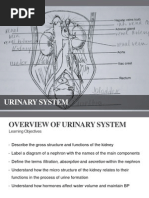 Urodynamics Normal Values Guide | PDF | Urinary Incontinence | Urination