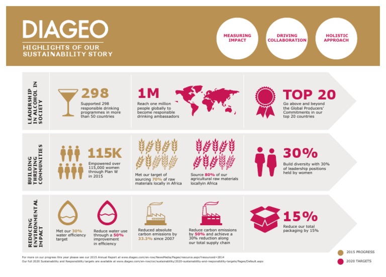 Diageo Annual Report - Sustainability and Responsibility Infographic | PDF