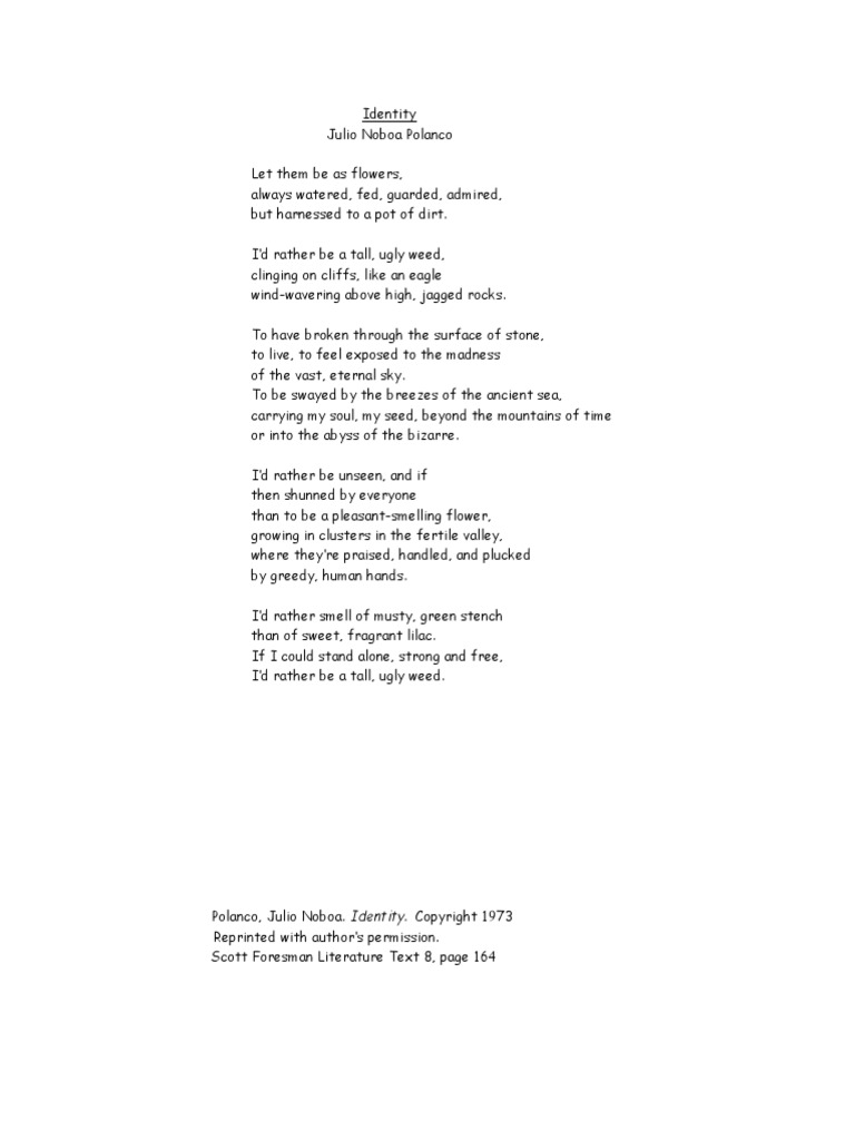Identity Poem by Julio Noboa Polanco | PDF | Art | Poetry